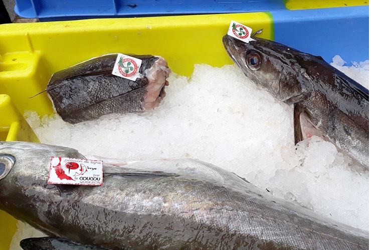 Polyart adds synthetic paper for direct food contact - Digital Labels ...